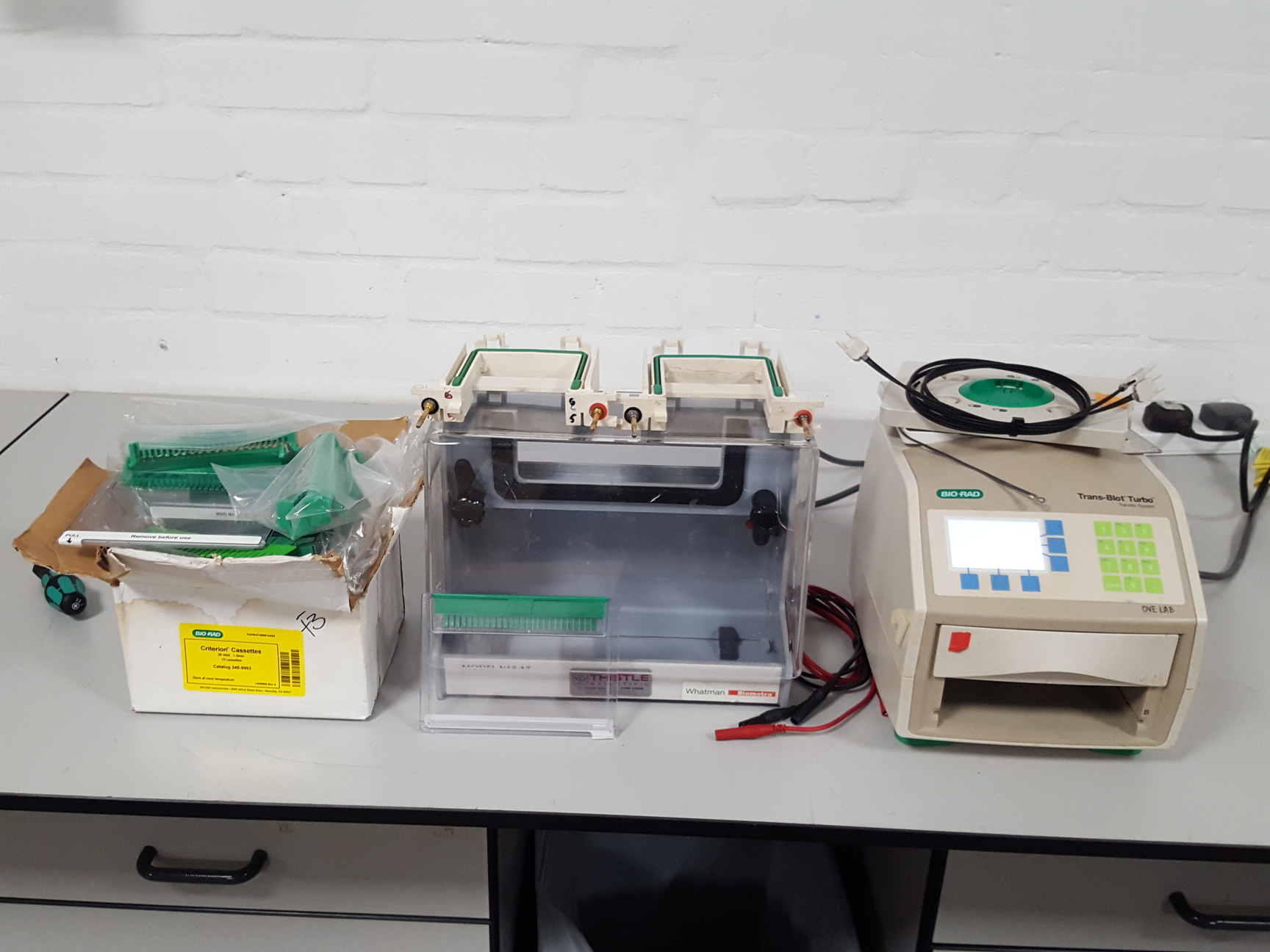 Bio-Rad Trans-Blot Turbo Transfer System + GibcoBRL Model V15-17 ...