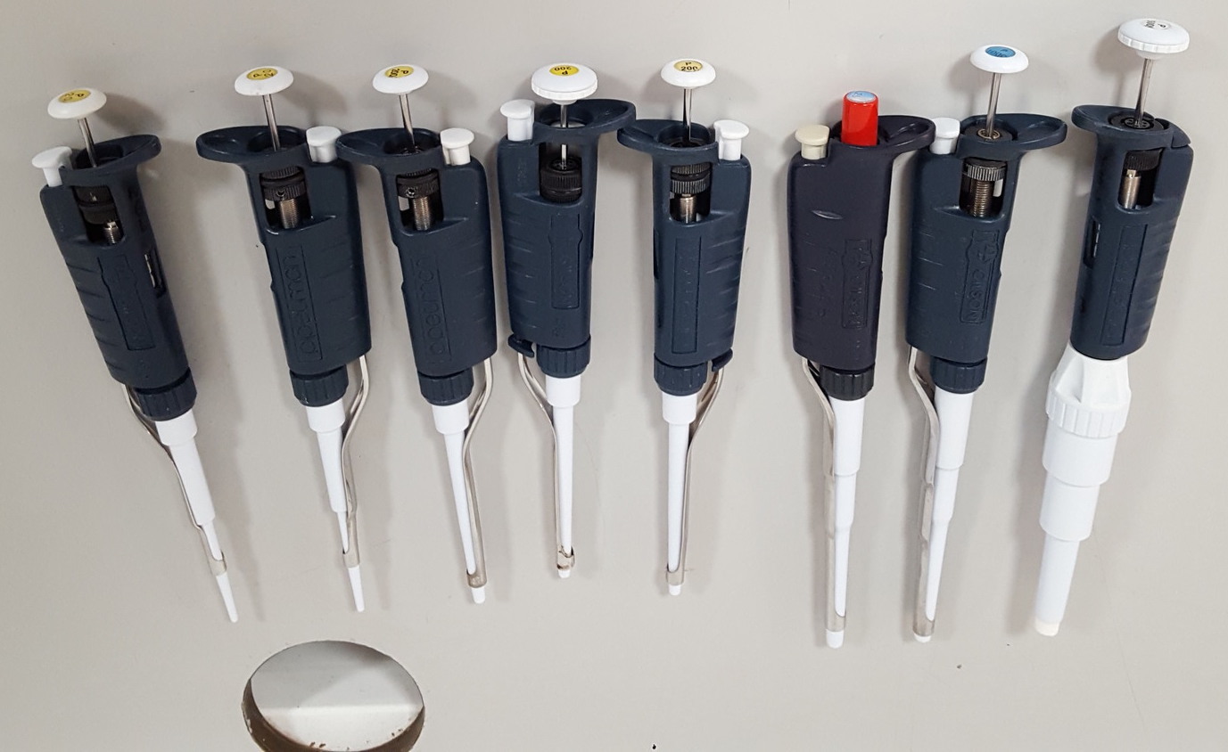 8x Gilson Pipettes 1x P5000, 1x P1000, 1x G250, 3x P200, 2x P20 Lab